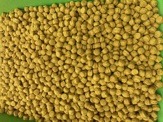 Your Parrot Vital Pellets Herbal Blend Blend Complete Parrot Food - bunnysmoggysdoggys.co.uk